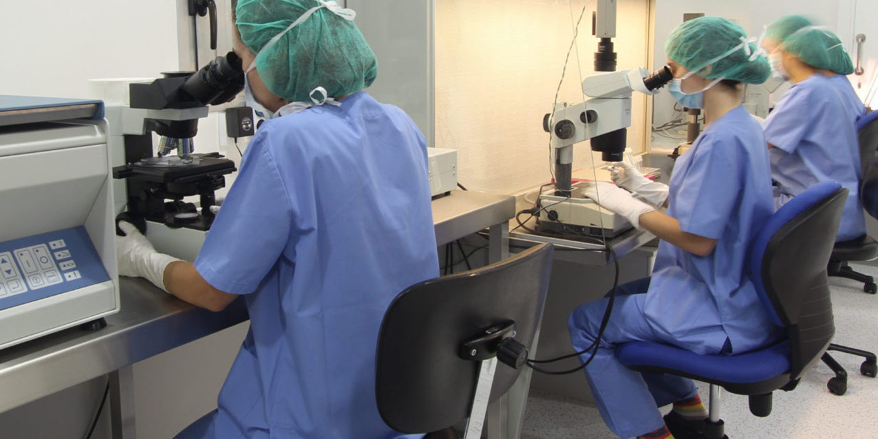 Embryoscope, Proper Guide - Risaa IVF