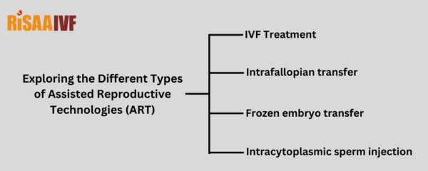 Different Types of Assisted Reproductive Technology
