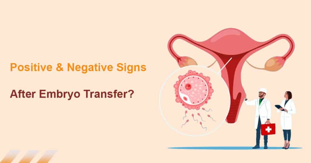 Positive & Negative Signs After Embryo Transfer? - Risaa IVF