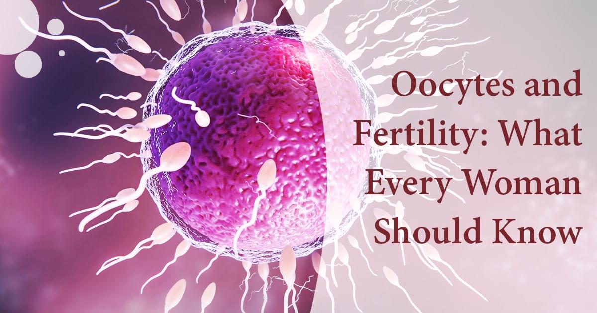 Oocytes and Fertility: What Every Woman Should Know
